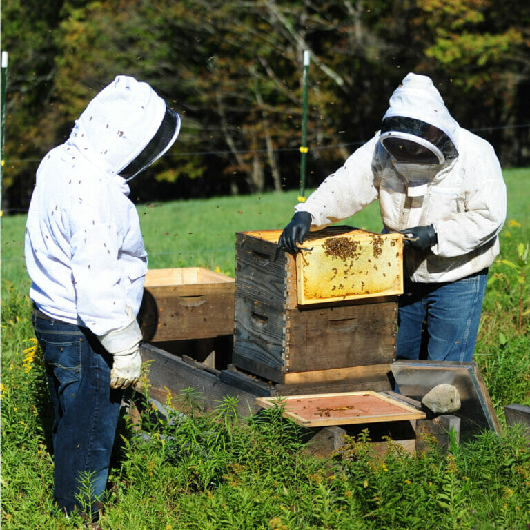 Explore Our Campus - SUNY Sullivan