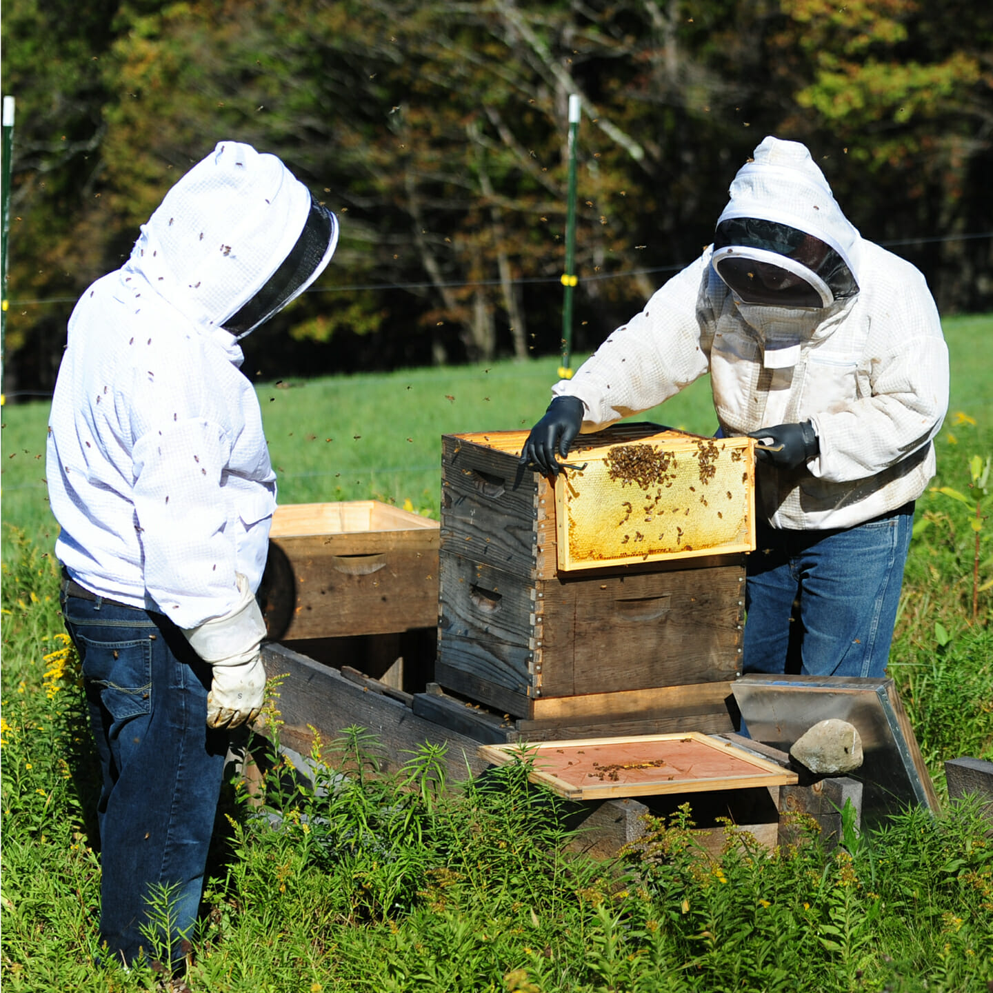 Explore Our Campus - SUNY Sullivan